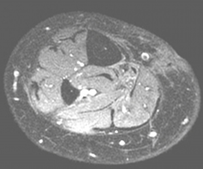 Internet Scientific Publications